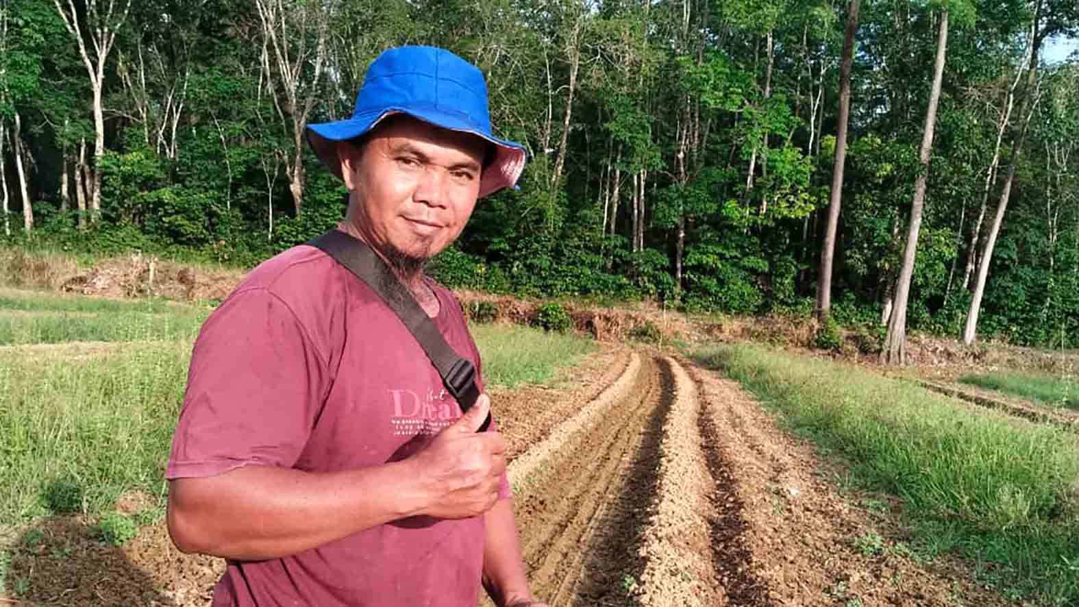 Lakukan Hal ini, Petani Semangka di Musi Rawas Optimis Hasil Panen ...