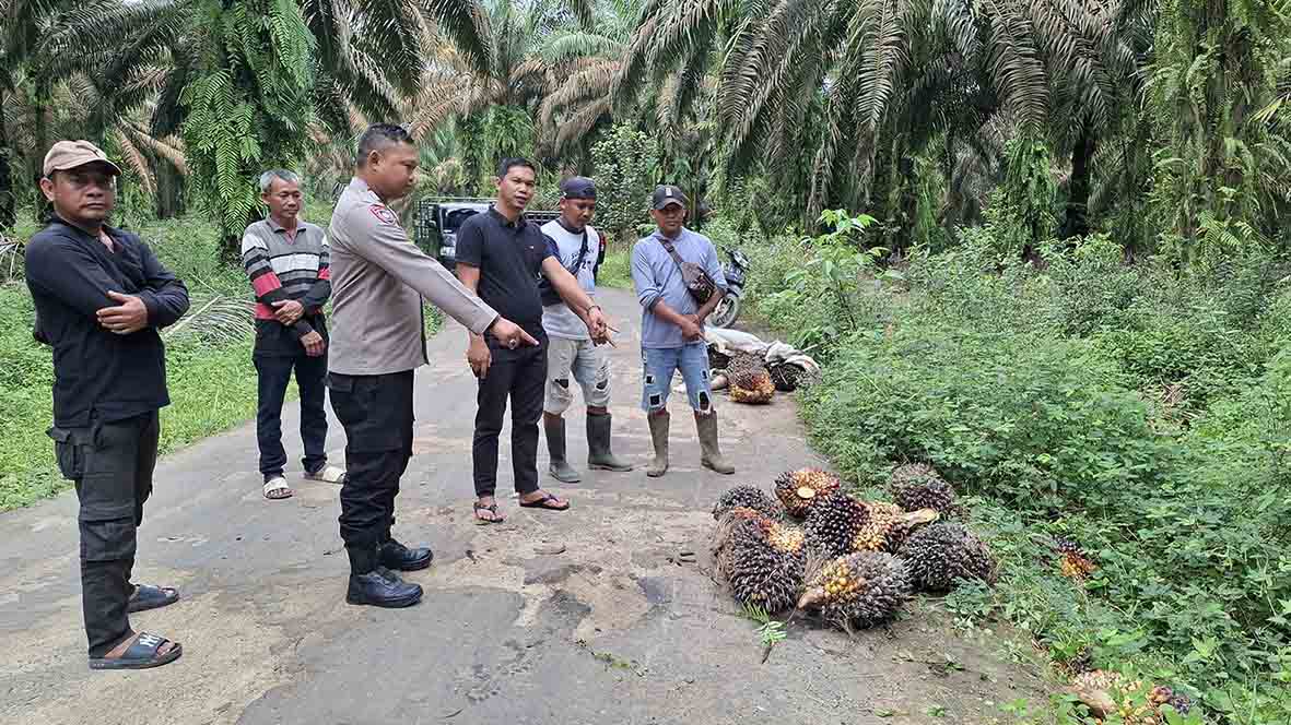 2 Warga Musi Rawas Ditembak, Diduga Habis Mencuri Sawit Ada BB ...
